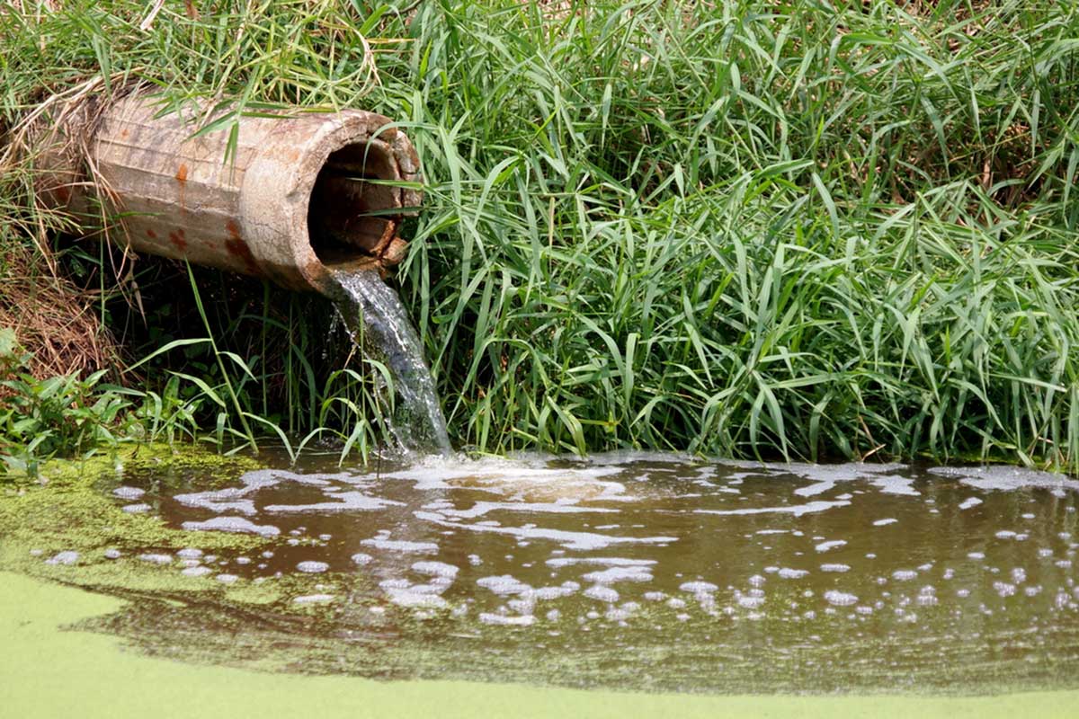‘Poop in the water’ may make some Michigan beaches unsafe for swimming ...